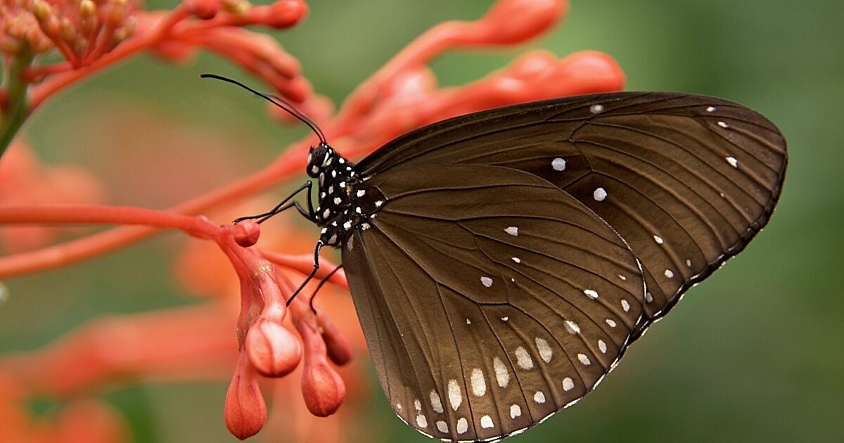 How To Eliminate The Stigma Associated With STDs and STIs - EasySTD